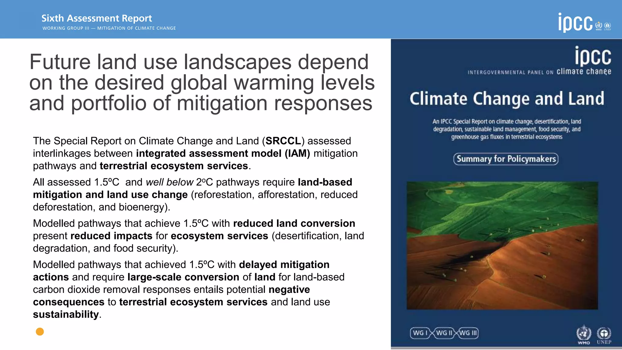 Potential synergies and trade-offs effects of large scale expansion of ...
