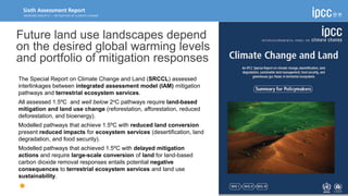 Potential synergies and trade-offs effects of large scale expansion of ...