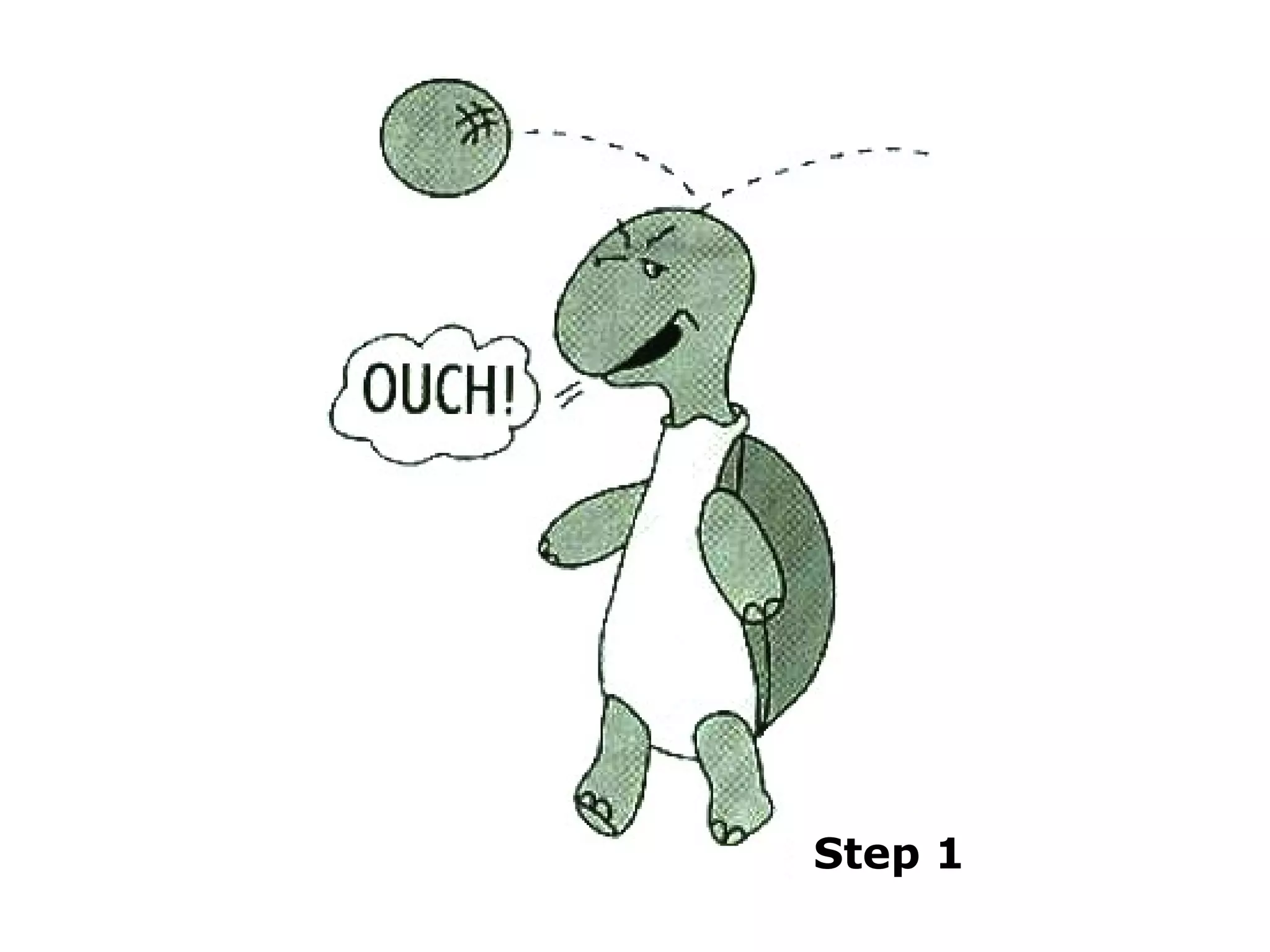 4c tucker turtle | PPT