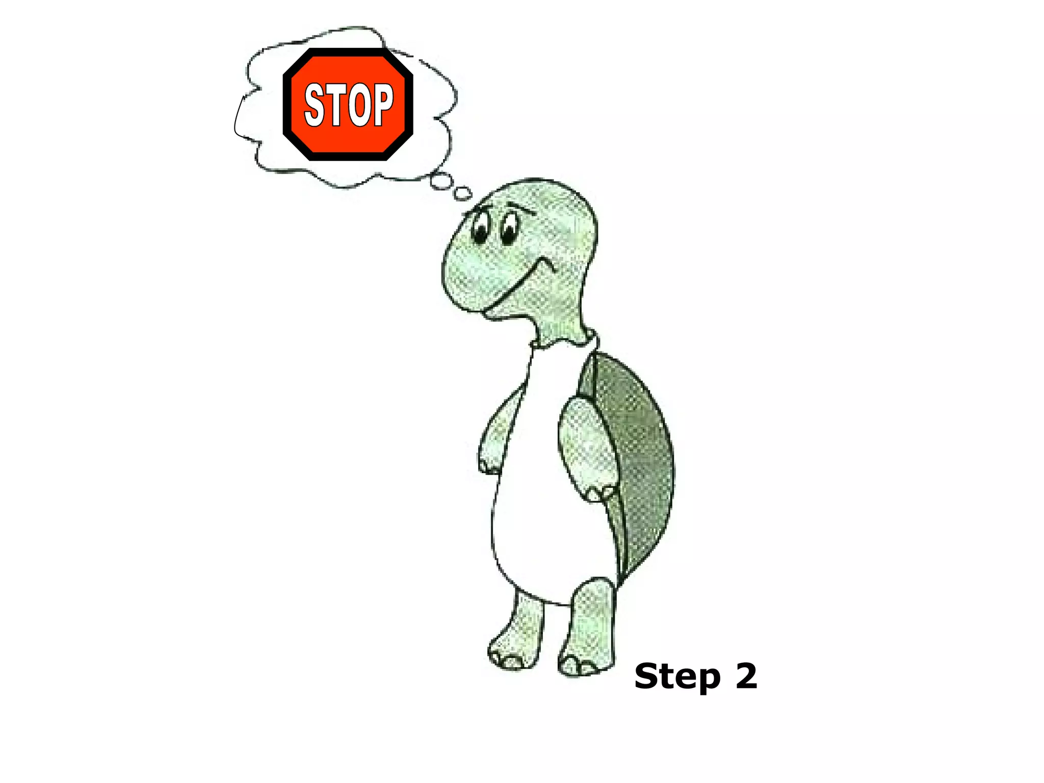 4c tucker turtle | PPT