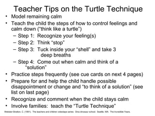 4c tucker turtle | PPT