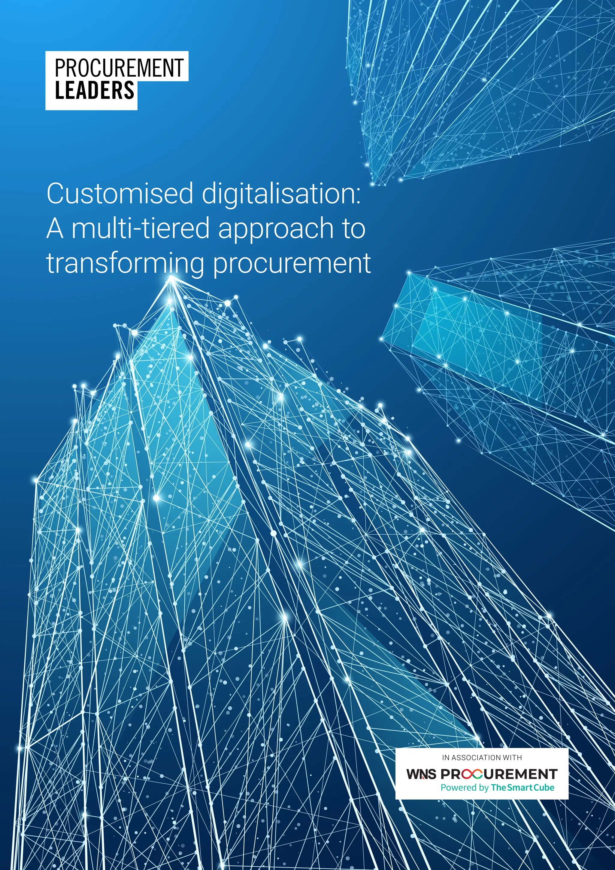 Customised digitalisation: A multi-tiered approach to transforming procurement | PDF