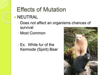 4d gene mutations | PPTX