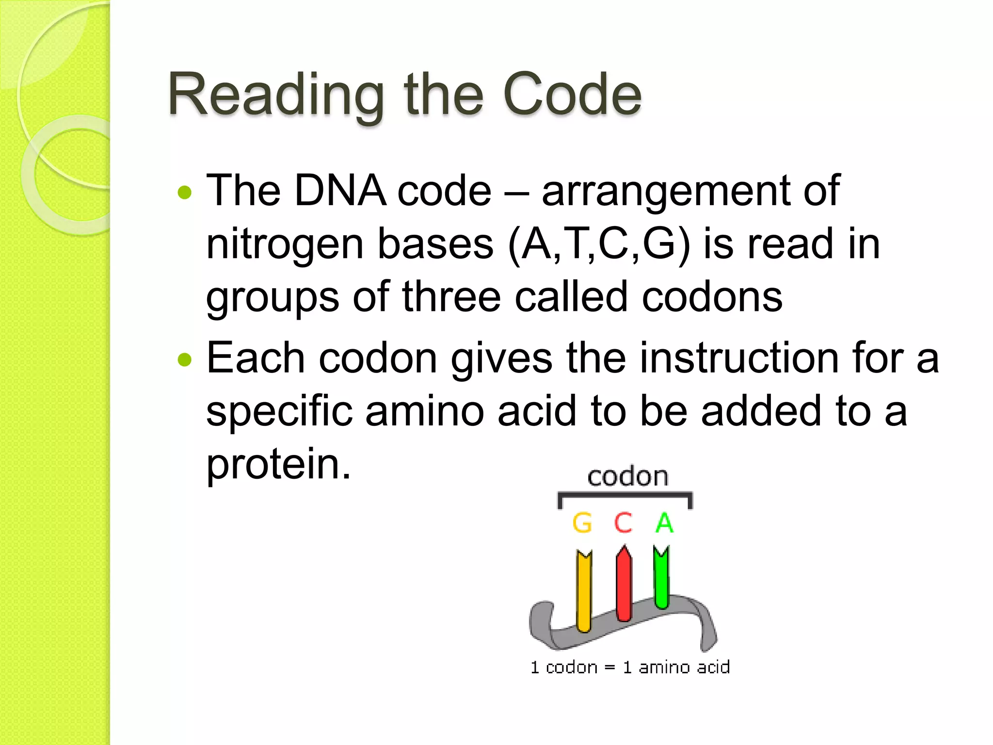 4d gene mutations | PPTX