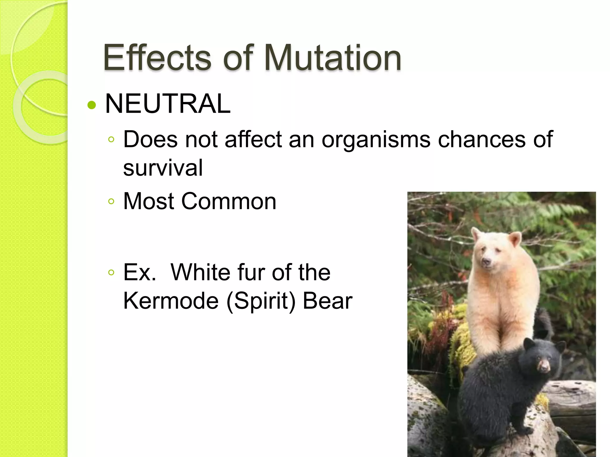 4d gene mutations | PPTX