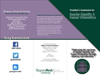 GISO Brochure | PDF | Debated Sensitive Social Issues | Sensitive Topics