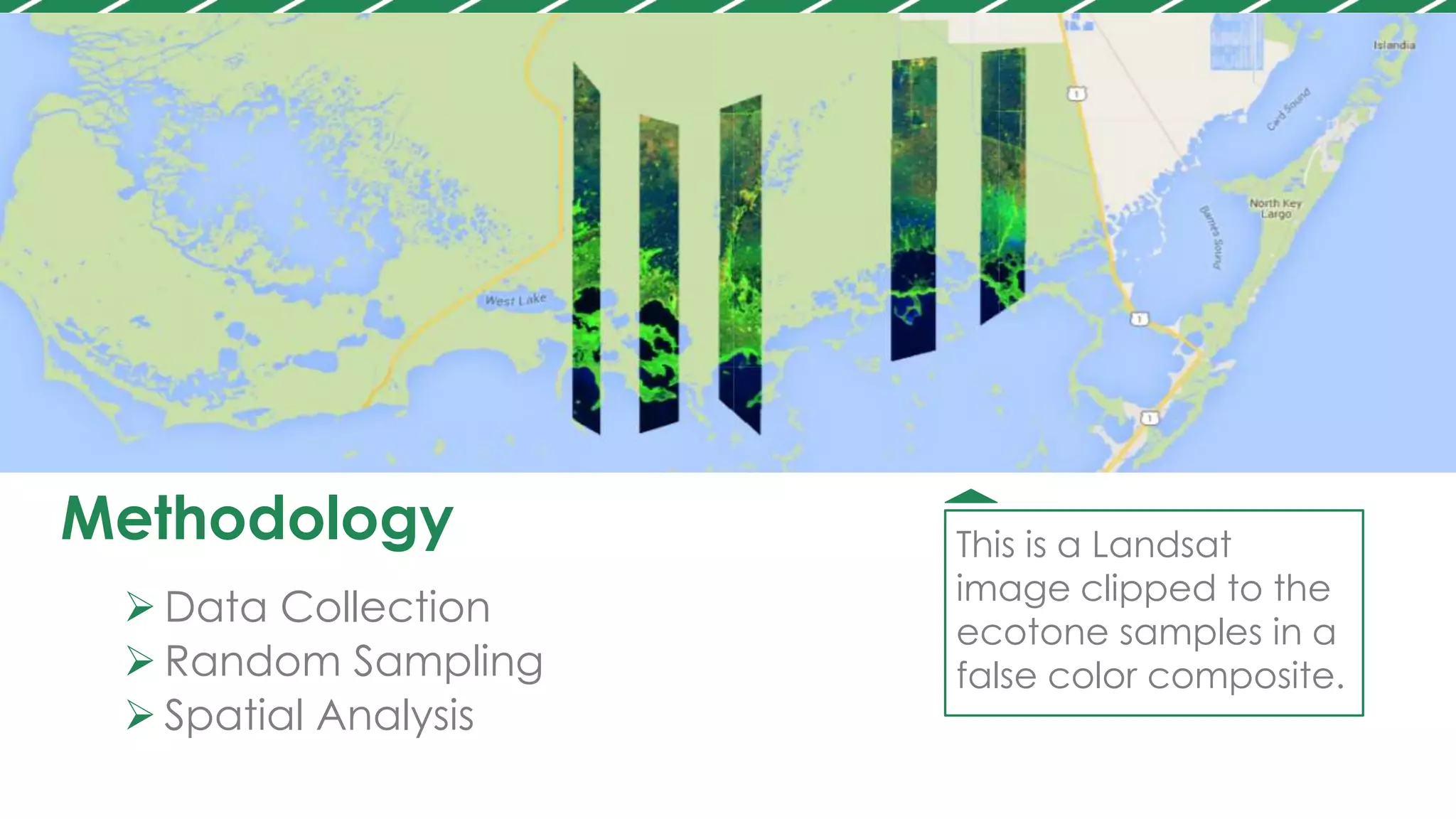 2016EvergladesFinalPresentation | PPTX | Geography | Science