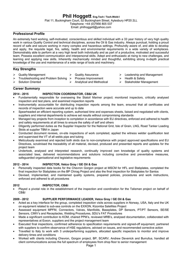 Phil Hoggett-CV_24-Jun-15 | DOC | Manufacturing Industry | Industries