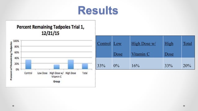 WiFi PresentationFINAL | PPT