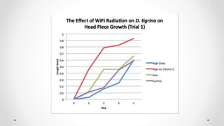 WiFi PresentationFINAL | PPT