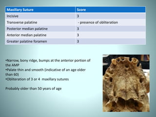 bioanthropresentation | PPT