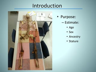 bioanthropresentation | PPTX