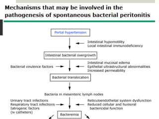 SBP and hepatic encephalopathy | PPTX