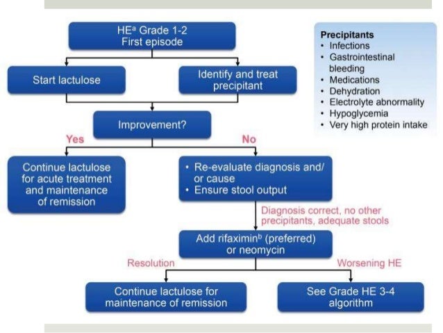 Hepatic Encephalopathy Treatment