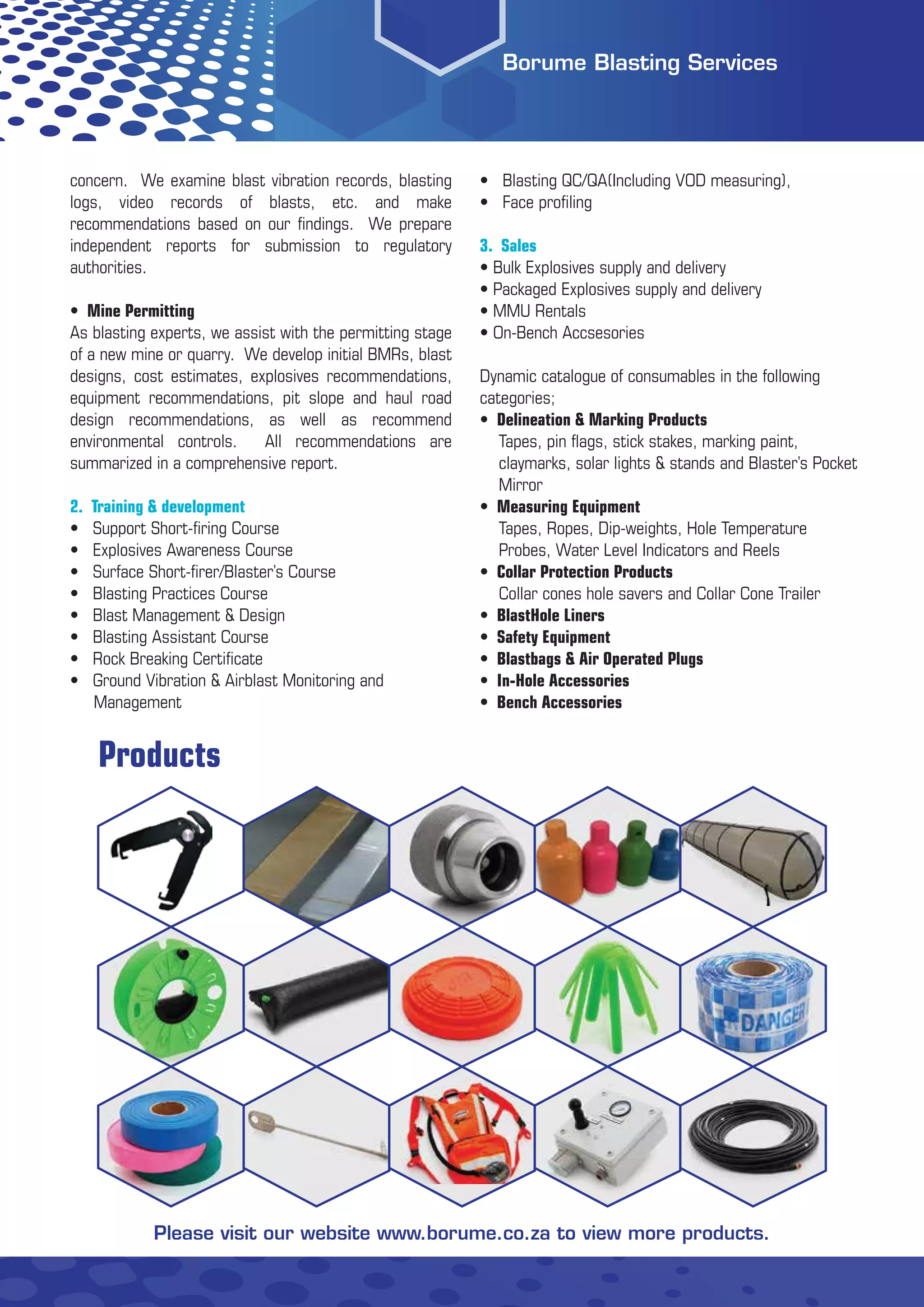 Borume Company Profile | PDF