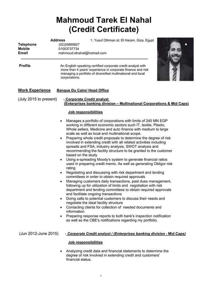 mahmoud cv (2) | PDF