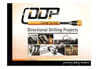 DDP PROFILE | PPT