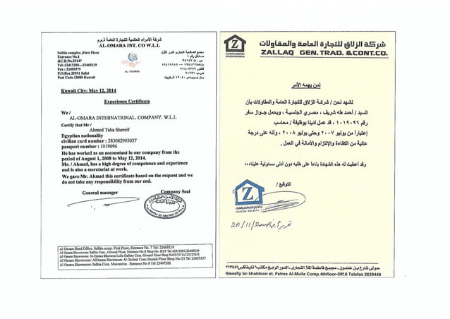 Accountant with Experience Certificate | PDF