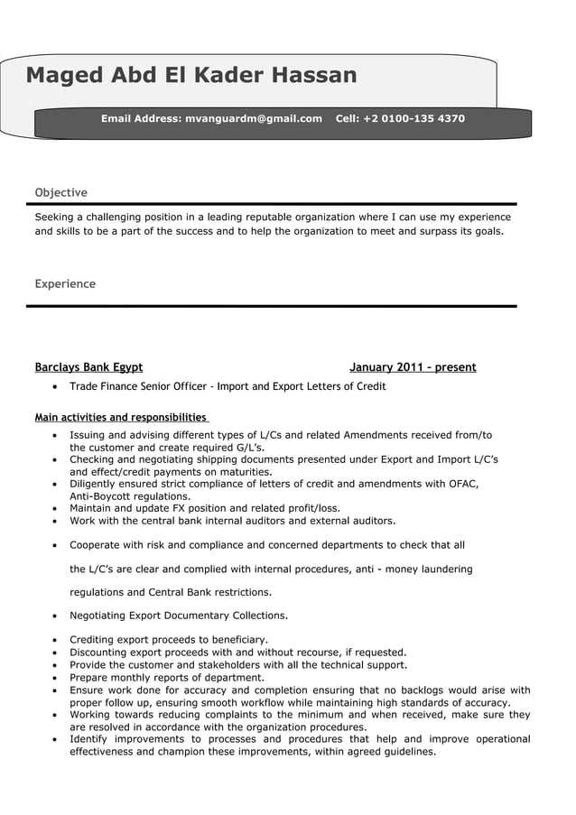 C.V. _ Maged last update_ 2016 | PDF