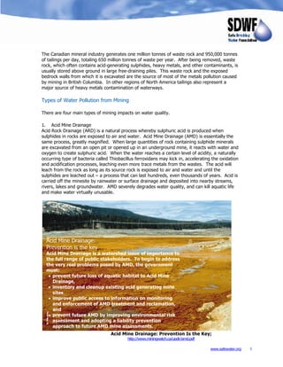 Mining and Water Pollution | PDF