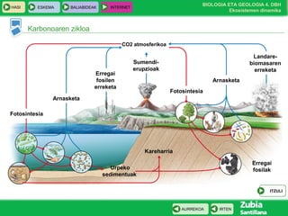 4dbhdinamikaekosistemak | PPT
