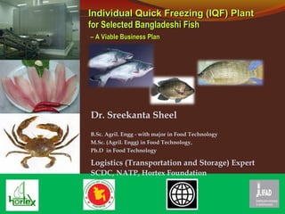 IQF Fish Plant-FINAL | PPT