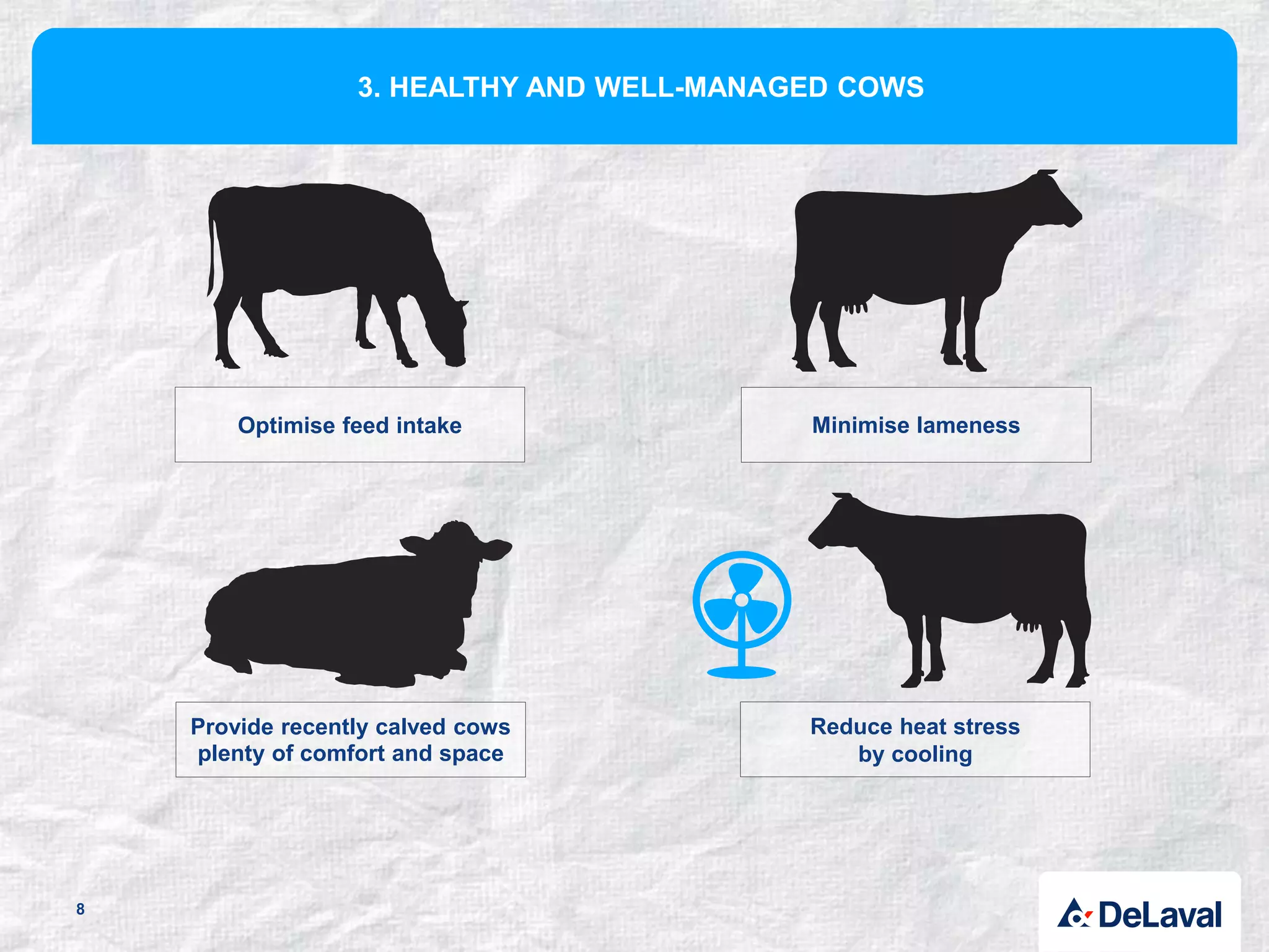 Pregnancy and reproduction in dairy cows | PPTX