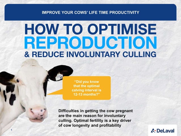 Pregnancy and reproduction in dairy cows | PPTX | Infertility ...