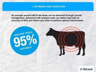 Pregnancy and reproduction in dairy cows | PPTX
