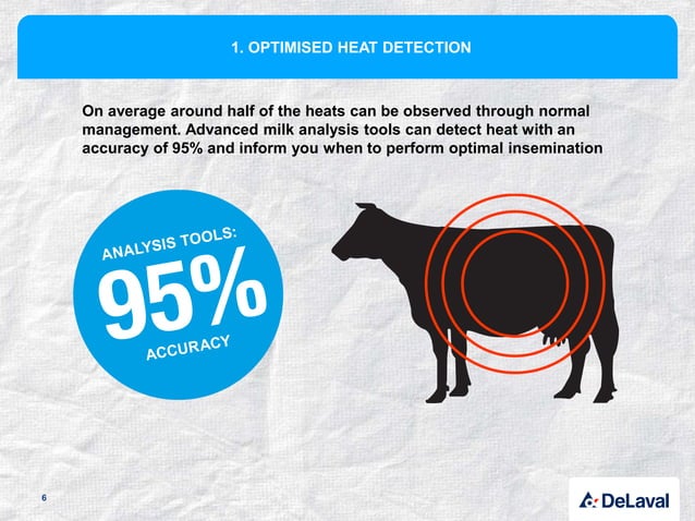 Pregnancy and reproduction in dairy cows | PPTX | Infertility ...