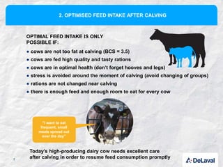 Pregnancy and reproduction in dairy cows | PPTX