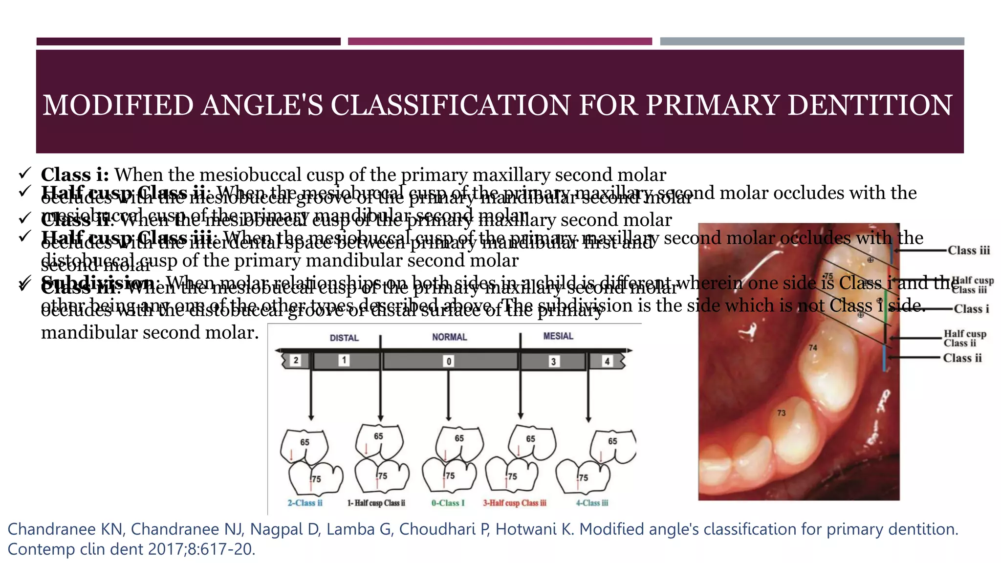 4 Development of Occlusion.pptx