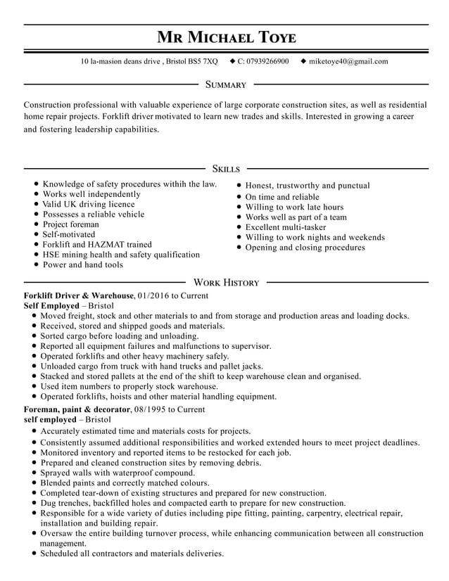 Mr Michael Toye CV 1 (2) | PDF
