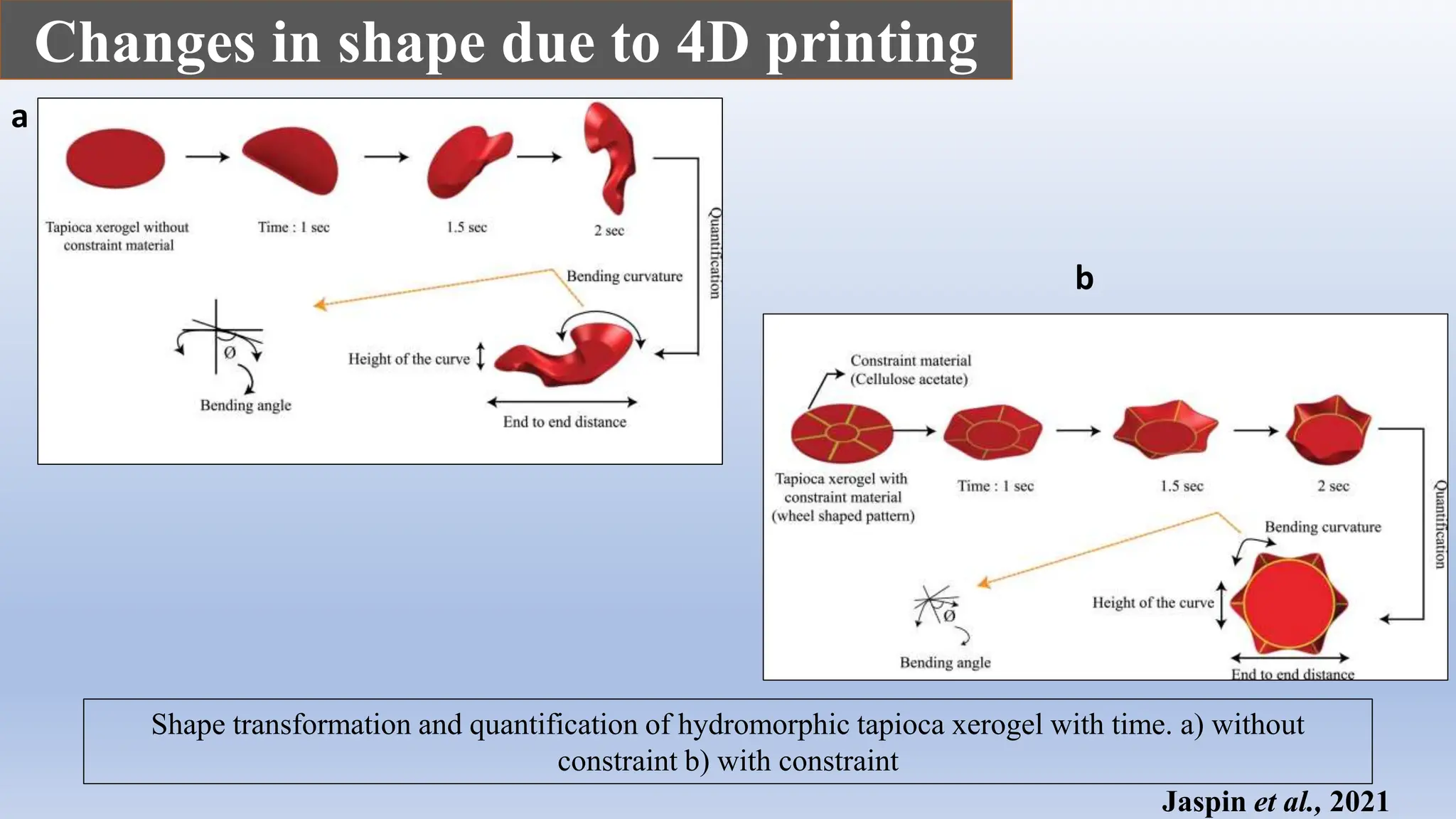 4 D Food Printing of Foods: A Future Path | PPTX