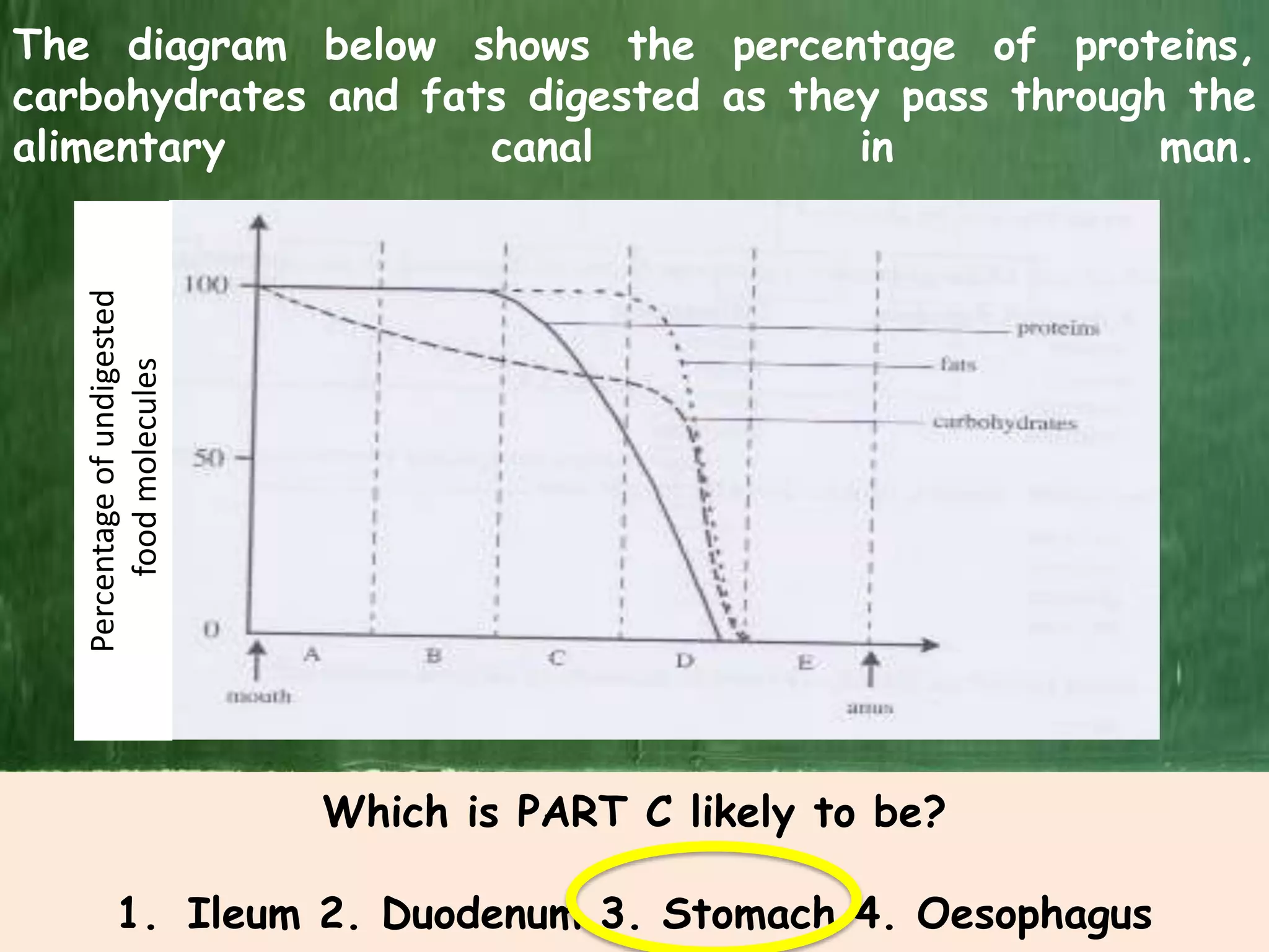 4 digestion ppt lesson 4 | PPTX