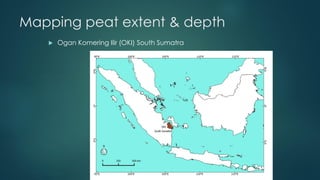 Digital Mapping of Peat soils in Indonesia | PDF