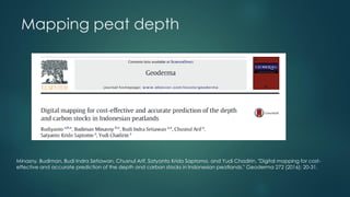 Digital Mapping of Peat soils in Indonesia | PDF