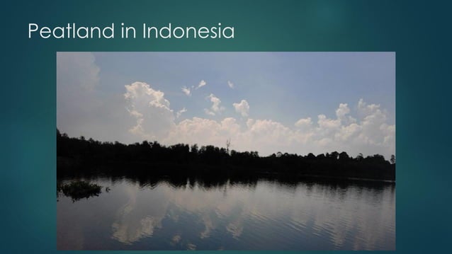 Digital Mapping of Peat soils in Indonesia | PPT
