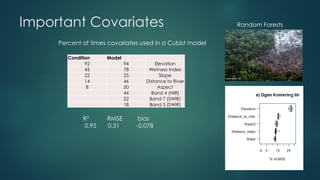 Digital Mapping of Peat soils in Indonesia | PDF