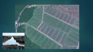 Digital Mapping of Peat soils in Indonesia | PDF
