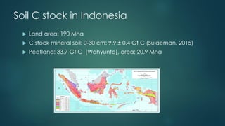 Digital Mapping of Peat soils in Indonesia | PDF