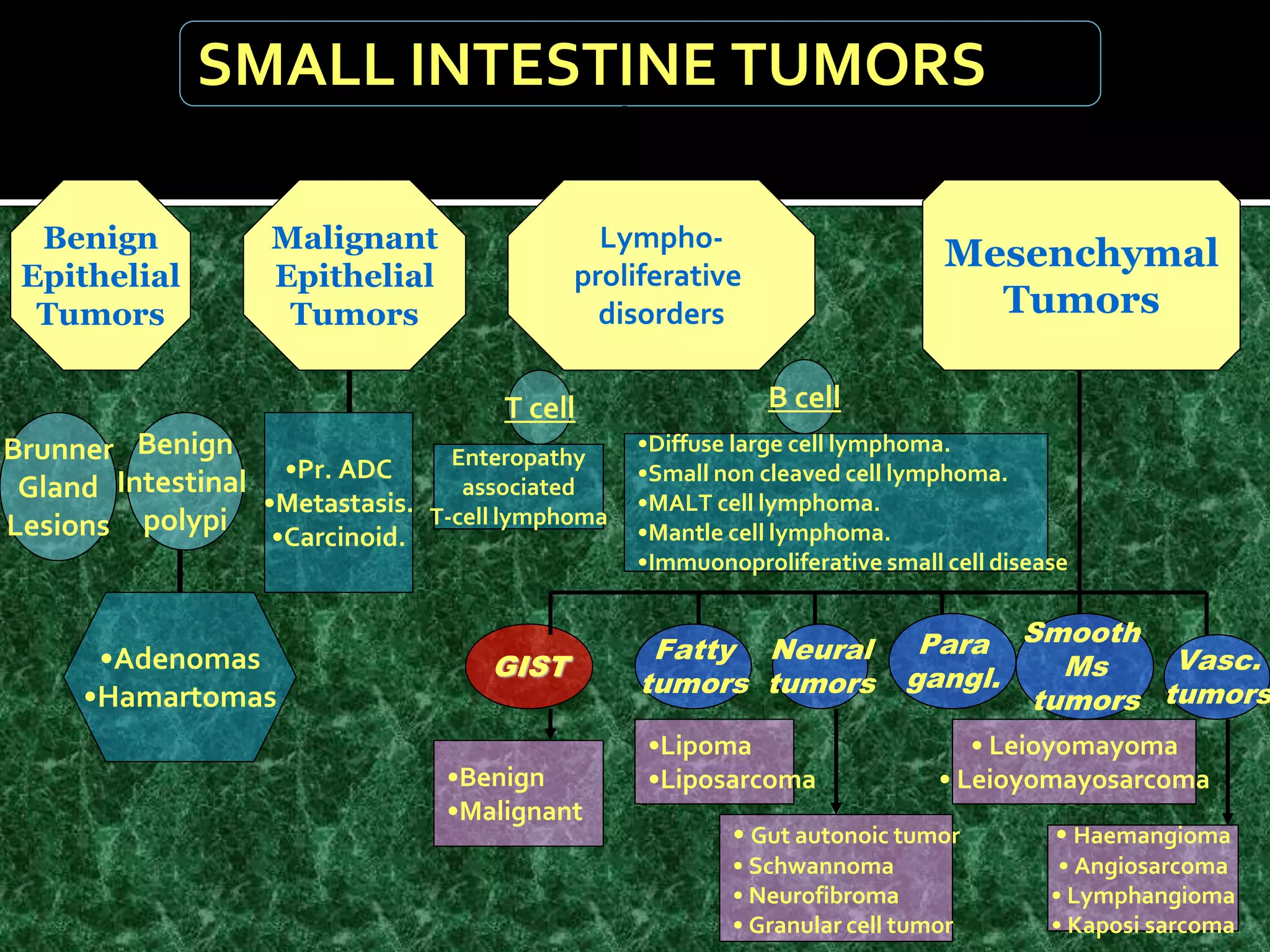 small_bowel_tumrs.pptx | Digestive Disorders | Diseases and Conditions