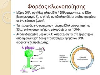 Tεχνολογία Aνασυνδυασμένου DNA | PPTX