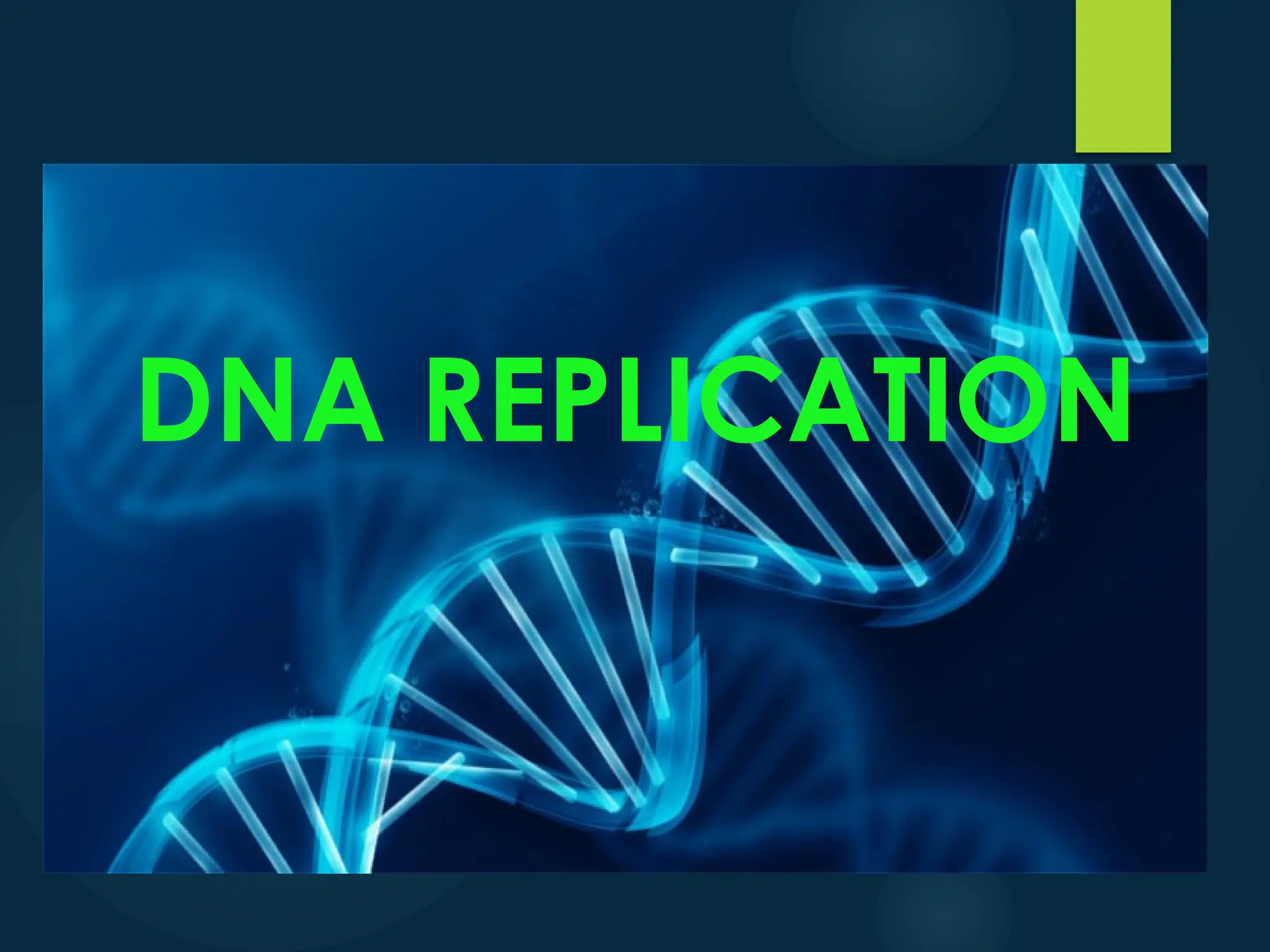 4 DNA REPLICATION.pptx Dna replication is | PPTX