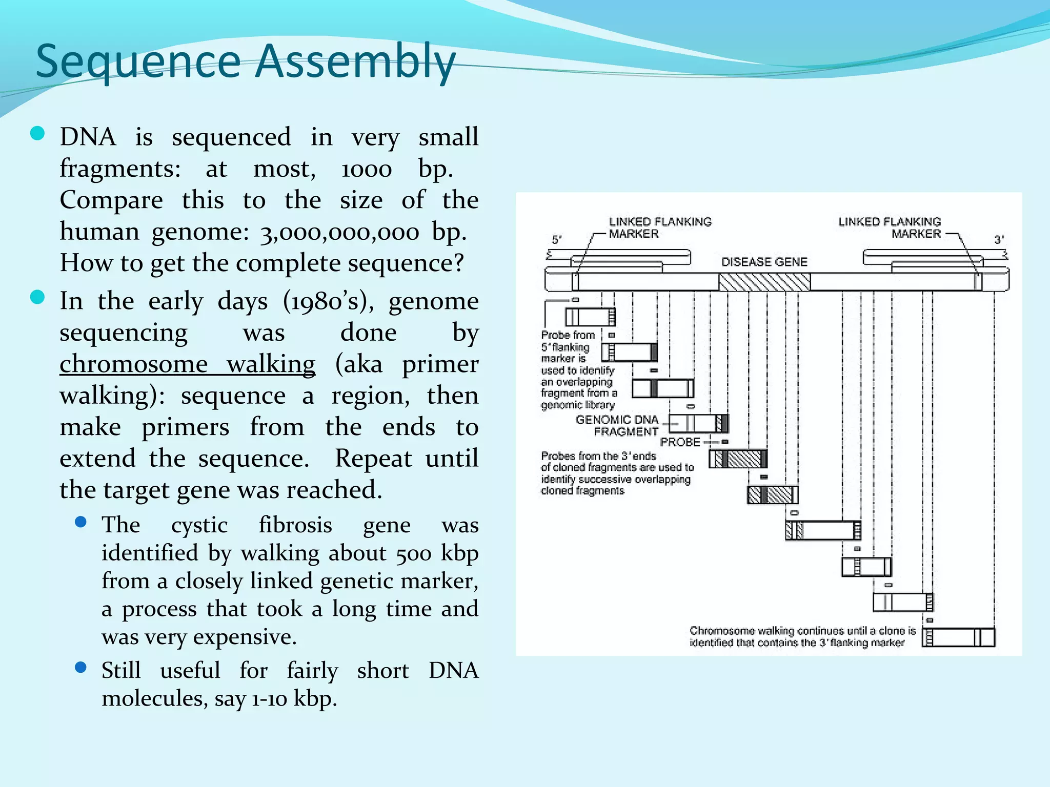 dna sequencing methods | PPT