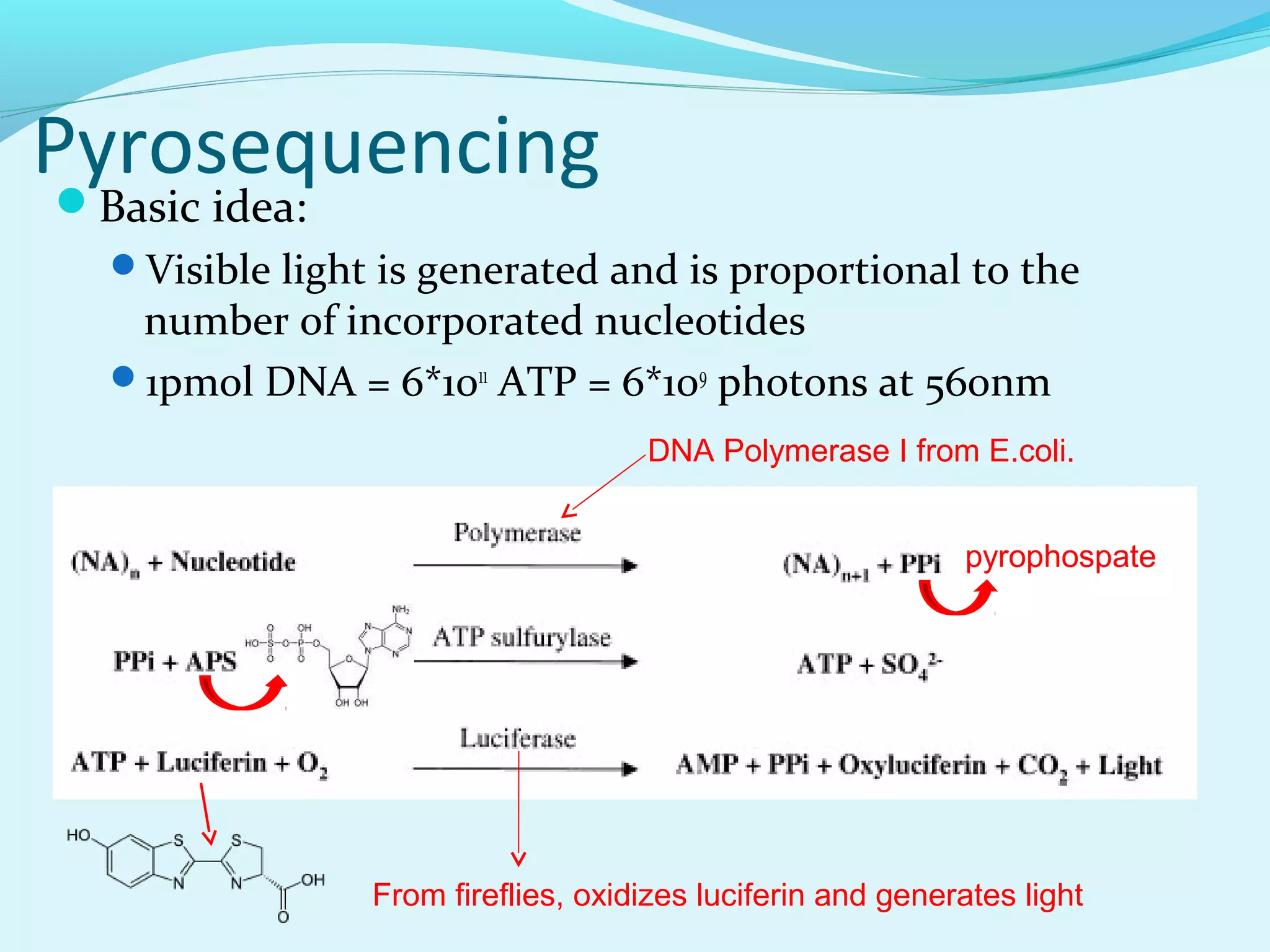 dna sequencing methods | PPT