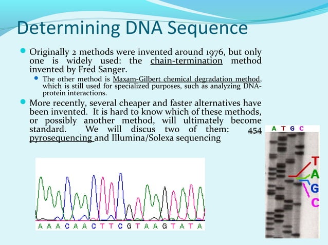 dna sequencing methods | PPT