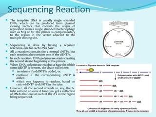 dna sequencing methods | PPT