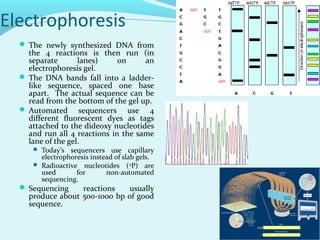 dna sequencing methods | PPT