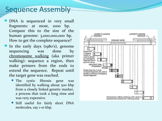 dna sequencing methods | PPT